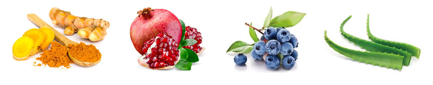 SUPERFOOD LAB(スーパーフードラボ)について | SUPERFOOD LAB(スーパーフードラボ)